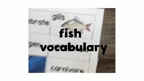 FISH Passages with Comprehension Questions and Writing Activities NO PREP