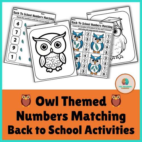 Owl Themed Numbers Matching for Back to School Activities | TPT
