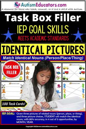 Identical Matching Picture Nouns Task Box Filler® for Special Education ...