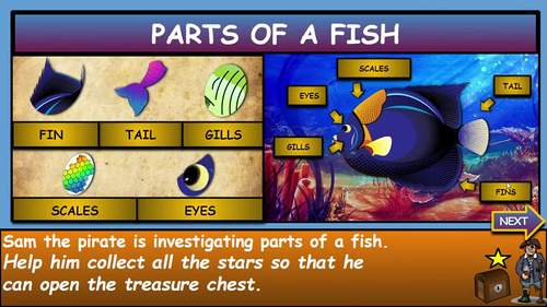 Parts of a fish: Interactive Google Slides + PPT+ 3 Worksheets | TpT