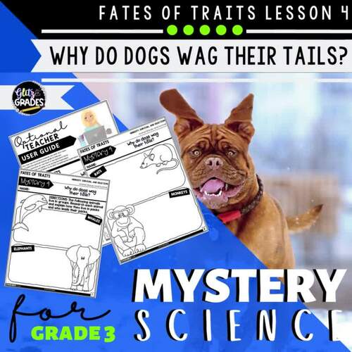 Mystery Science 3rd Grade SUPPLEMENT Fates of Traits | Mystery 4 Animal ...