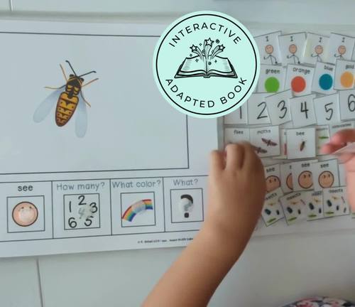 Basic Concepts Adapted Book Bundle How Many? Color? What? Special Education