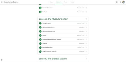 Human Anatomy & Physiology Bundle (a supplement for the Apologia course)