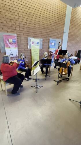 Prickly Pair Pizzicato - Flex-Duo - Viola I & II by String Riffs