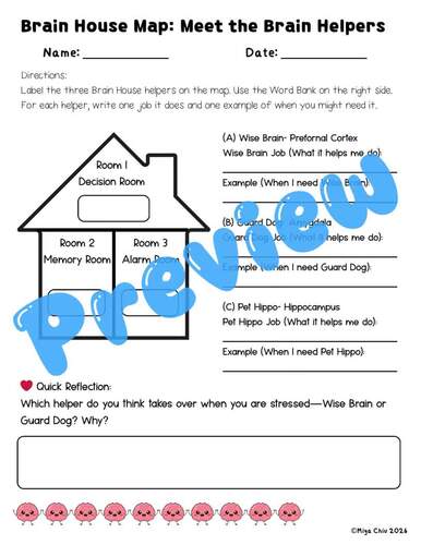 Brain & Emotions SEL Bundle: Neuroscience Activities for Grades 3-6