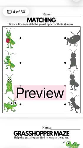 Insect & Bug Activities for Kids | Spring Worksheets | Insect Life Cycle
