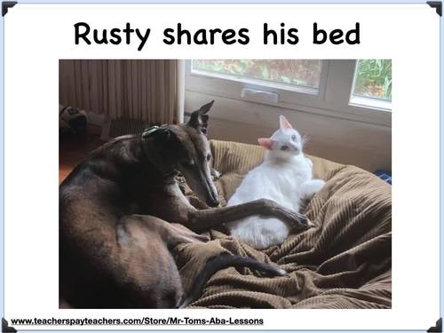 Rusty the Greyhound: Rusty Shares His Bed - Social Skills Behavior ...