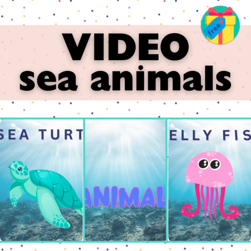 SEA ANIMALS vocabulary video by Elena Malliet | TPT