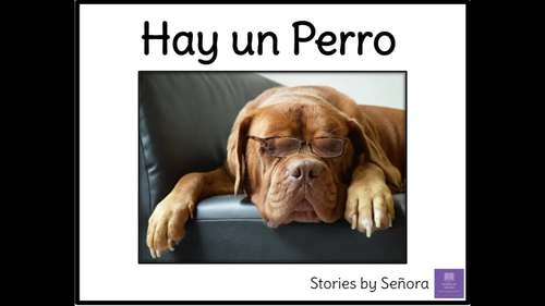 Elementary Spanish Story & Activities--Hay un Perro by Stories by Senora