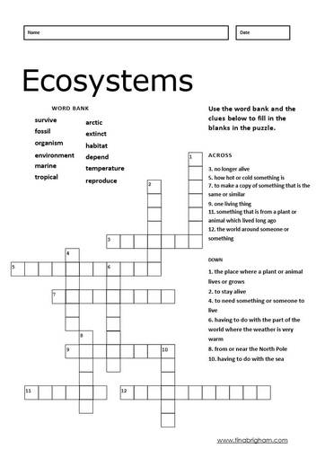 Science Words for 3rd Grade | Crossword for Kids | 5 puzzles + Study ...