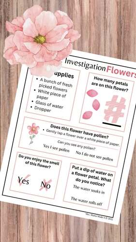 Spring Scientific Investigations Experiment & Exploration Science ...