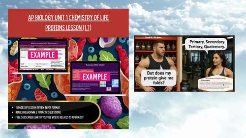 AP Biology UNIT 1 Chemistry of Life 1.7 Proteins Lesson Guide | TPT