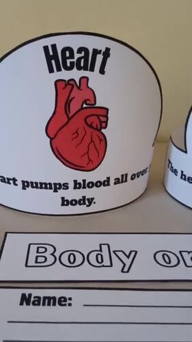 Heart Hat Craft & Coloring Page | Human Body Science Activity for Kids
