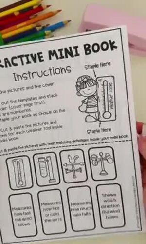 Weather Tools Reading Comprehension and Mini Book by Vilena Hamilton