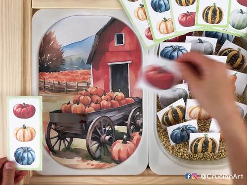 Autumn Harvest FLISAT Activity: Pumpkin & Squash Matching Game by ...