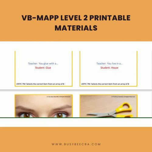 VB-MAPP Level 2 Binder by The Busy BeeCBA | TPT