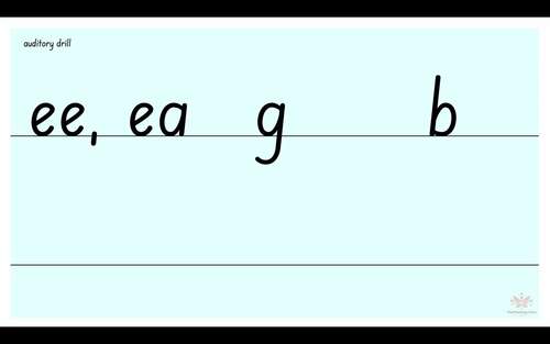 5 x Dictation Lessons: Set 20- oa words and sentences- NO PRINT/DIGITAL ...