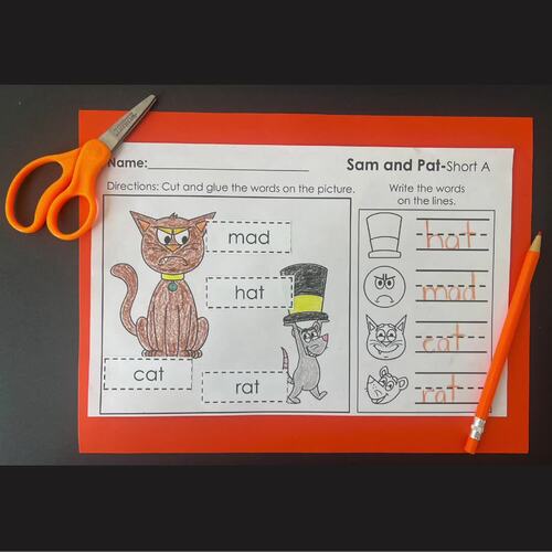 Short A Decodable Reader - Sam and Pat - Worksheets + More! by Fun with ...