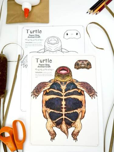 Turtle | Paper Bag Puppet | Printable Craft | Turtles by Simply Schoolgirl