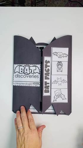Bats Science Interactive Activities by Reagan Tunstall | TPT