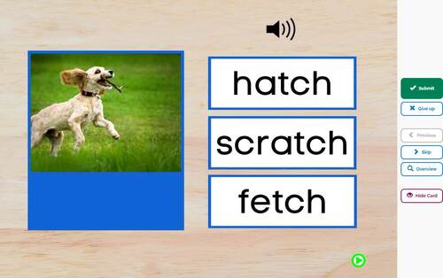 Blue Language TCH Blend Words Label Picture Match Montessori Boom Cards DL