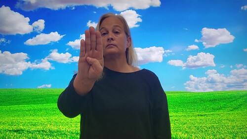 ASL Unit 7 Video 7 by Melissa Sexton | TPT