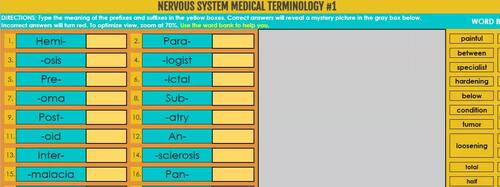 Nervous System Medical Terminology Mystery Picture Reveal | TPT