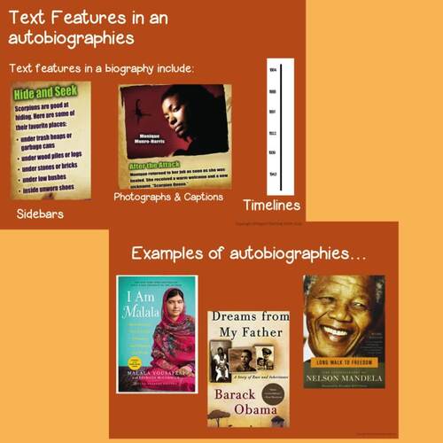 Autobiography Bundle | PowerPoint Presentation & Graphic Organizer ...