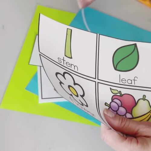 Plant Activities Simple Readers | Spring Activities | Interactive ...