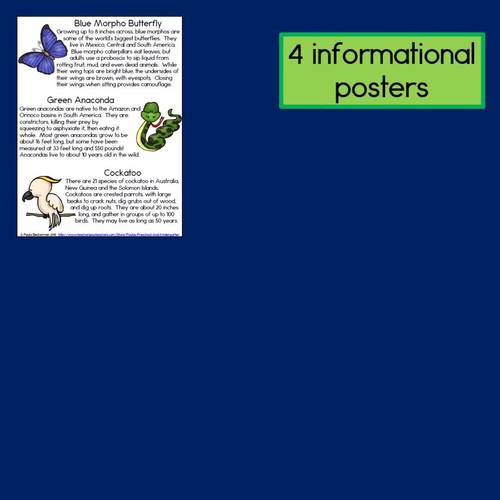 Rainforest Animals Bingo Game and Vocabulary Informational Posters