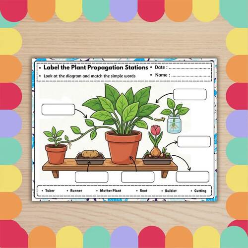 Plant Propagation Stations Activity Diagram | Science Spring And Plant ...