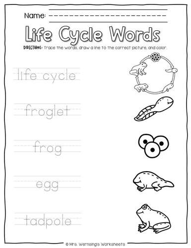Animal Groups: AMPHIBIANS - KINDER SCIENCE by Mrs Wernsings Worksheets