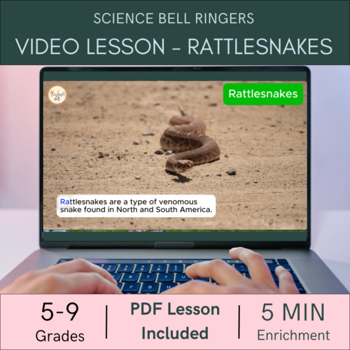 Science bell ringer video (4 min) - Rattlesnakes - Middle school