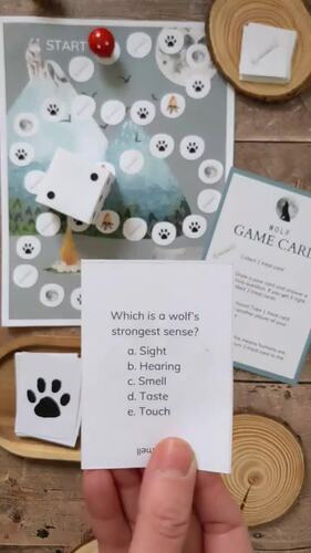 Wolf Trivia Board Game, Early Finishers, Dice, Turn Taking, Wildlife ...