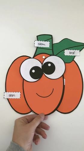 Interactive Pumpkin Craft and Label Fall Science Kindergarten 1st Grade ...