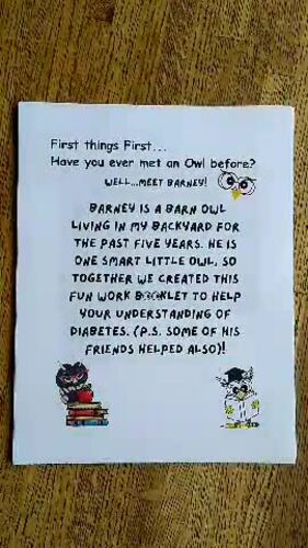 Fun and Engaging Children's Activity Booklet to Learn About Diabetes ...