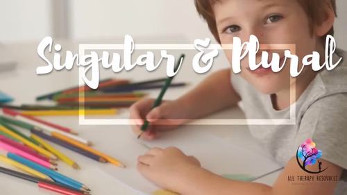 Singular or Plural Clip Vocabulary Cards - Preschool, Autism, Literacy ...