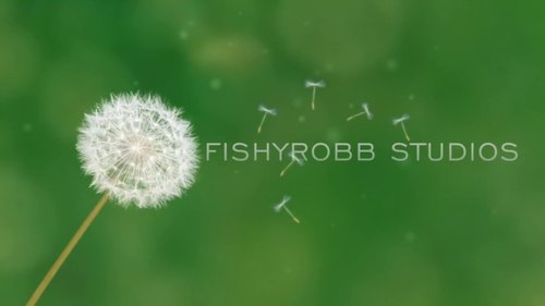 5 STEM Activities Desert Island STEM Challenge Bridge Catapult Raft Hut ...