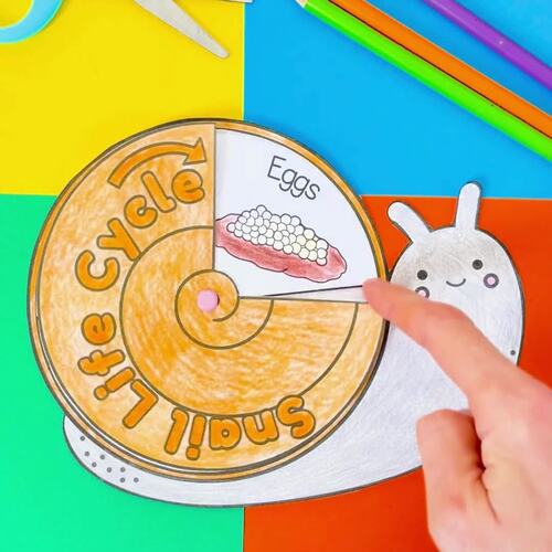 Life cycle of a snail spinner wheel spring science craft cut and paste ...
