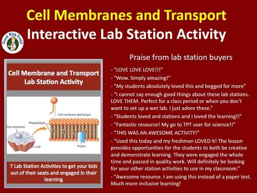 Cell Membrane and Transport - 7 Engaging Lab Station Activities | TPT