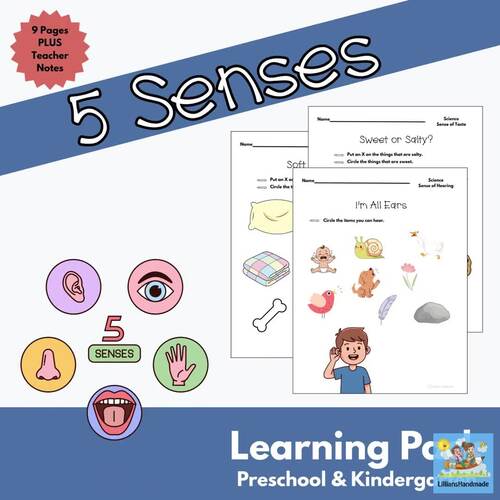 5 Senses Activities for Preschool & Kindergarten | Science Worksheets ...
