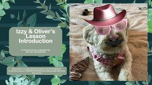 Catfishing Internet & Personal Safety Rules No Prep SEL Lesson w 5 videos