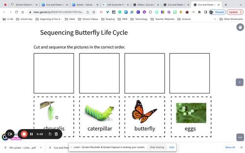 Life Cycle No Prep Cut&Paste and Digital Activity for Primary Grades
