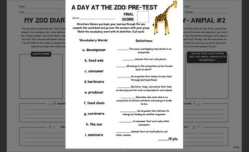 Zoo Field Trip Activity Packet: covers ecosystems, animal adaptations, etc!