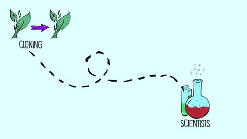 Socratic Seminar - Cloning Discussion Slides, Graphic Organizers, and ...