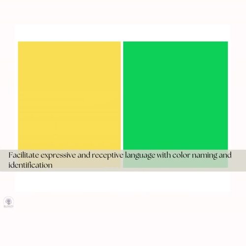 Aphasia Language Task: Colors by BlossomSpeechTherapy | TPT