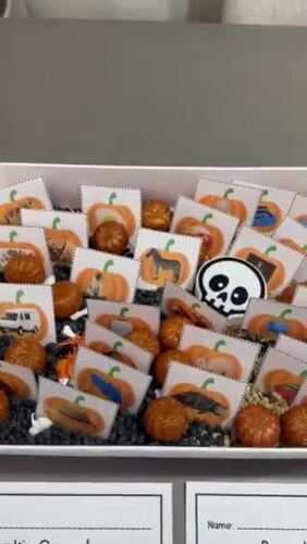 Fall/ Pumpkin Beginning Sound Sensory Bin by Pastels and Polka Dots
