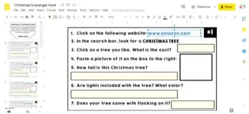 Life Skills - Online Shopping - Google - Math - Reading - Christmas
