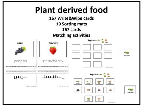 Plant derived food 167 Write&Wipe cards, 19 Sorting mats, 19 Matching ...