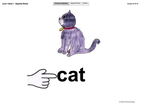 Newitt Book 1 Lesson 6 PowerPoint: Separate Words in Sentences | TPT